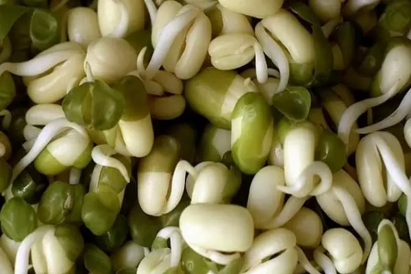 Beans lehibe