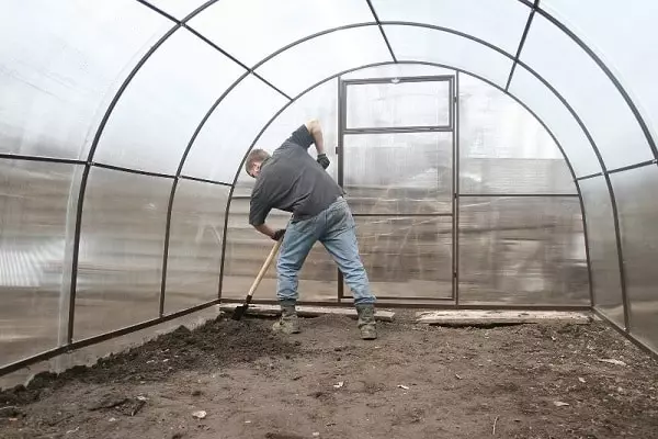 Jak růst a péče o kopr ve skleníku v zimě