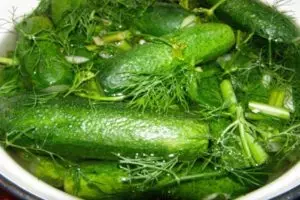 Ntụziaka nkwakọ ngwa ngwa crisp cucumbers na saucepan na oyi na-ekpo ọkụ na galik na ngwa nri