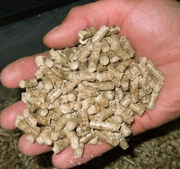 Compound Feed for Pigs