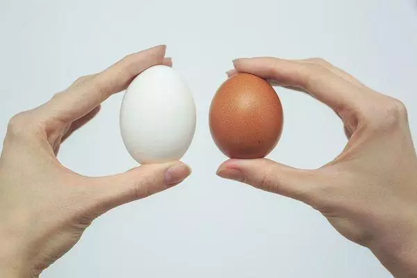 kaksi kananmunaa