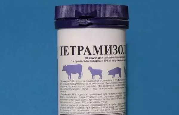 Tetrazol untuk babi.