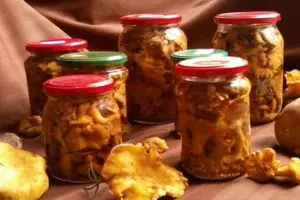 Resep langkah-demi-langkah sederhana untuk membuat chanterel yang diasinkan untuk musim dingin di rumah