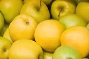 Nkọwa na njiri mara nke ụbịa - akwụkwọ Apple