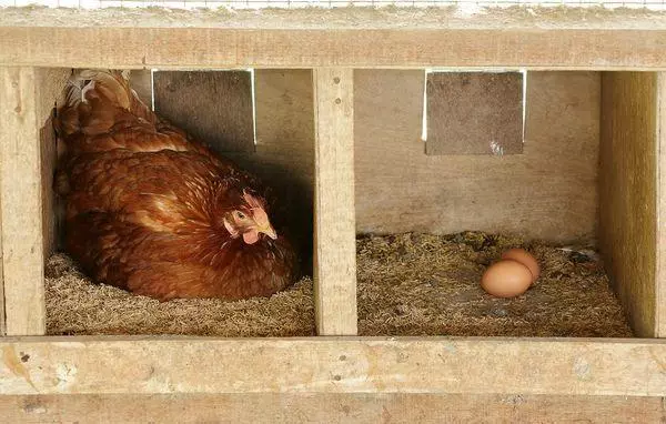 Seizoensgebonden verandering