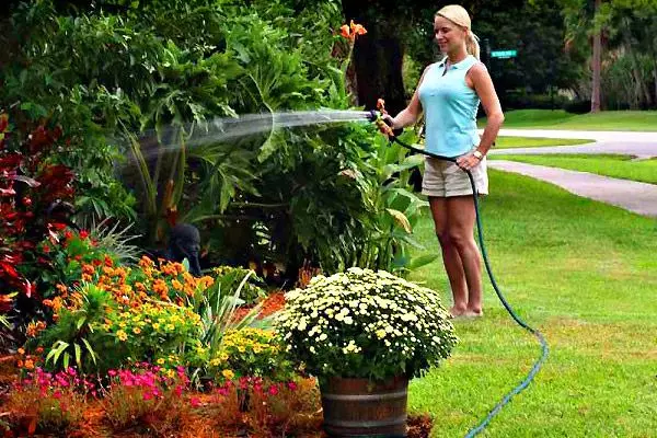 Girl waters the garden with hoses