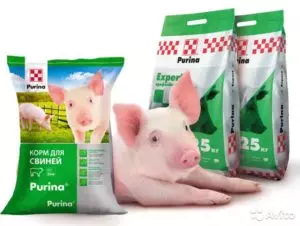 مزایا و ترکیب Purina برای خوک ها، چگونه به درستی به درستی و عمر مفید