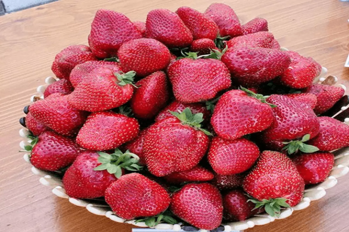 Strawberry қабылдайды