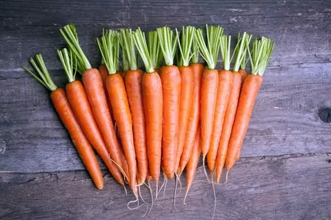 Carrot e nyane tafoleng