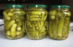 ভিনেগার ছাড়া ব্যাঙ্কের শীতের জন্য Crispy Cucumbers এর জন্য শীর্ষ 13 রেসিপি