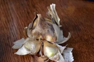 Alasan mengapa bawang putih membusuk: Apa yang perlu dilakukan dan bagaimana untuk menanganinya?