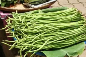 Descrición da variedade de bean Vigor, as peculiaridades do cultivo e rendemento
