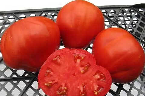Smaak van tomaten