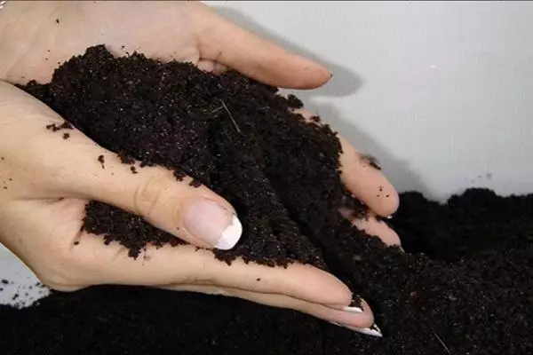 手中的土壤