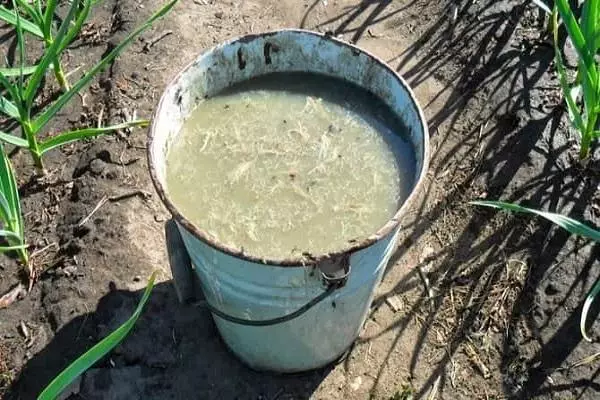 Bucket Pertilizer