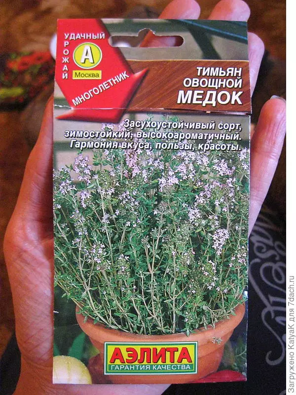 Imbewu thyme