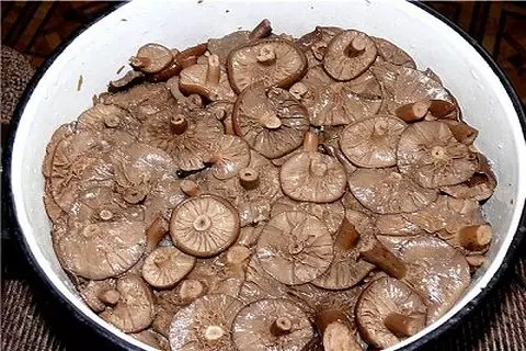 Печурке у води