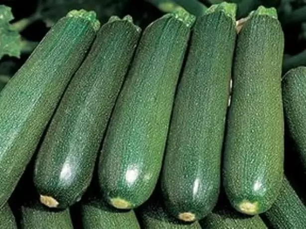 အသွင်အပြင် zucchini Tsukesh