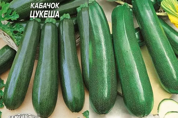 အစေ့ zucchini tsukesha