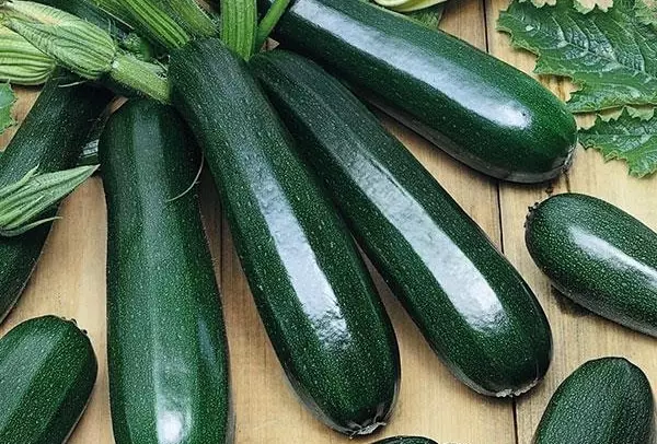 Ọdịdị nke zucchis zucchini