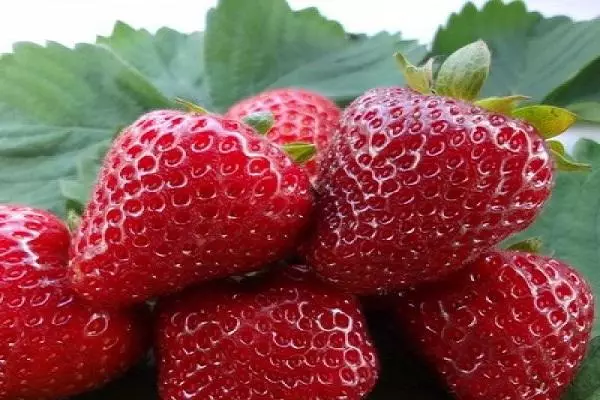 Strawberry Diamond: Beschreibung und Merkmale von Sorten, Landung und Pflege, Zuchtmethoden