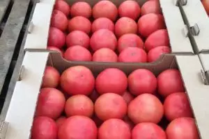 Priskribo tomato tatus rozkolora tomato, ĝia karakterizaĵo kaj rendimento