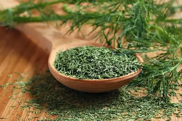 The shelf life of dill seeds for landing: how much year