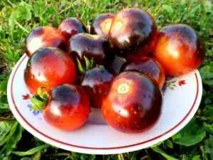 Utbyte, karakteristik och beskrivning av blåbär tomat
