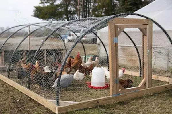 Chicken Coop of Grid
