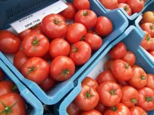 Karakteristike i opis govedine od rajčice, što je raznolikost, njegov prinos