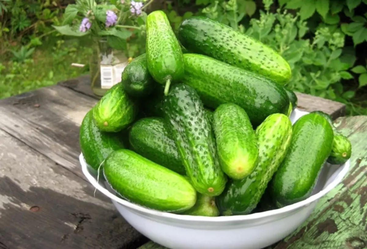 একটি বাটি মধ্যে cucumbers