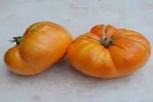 説明トマトサイズサイドサイダー、成長と介護
