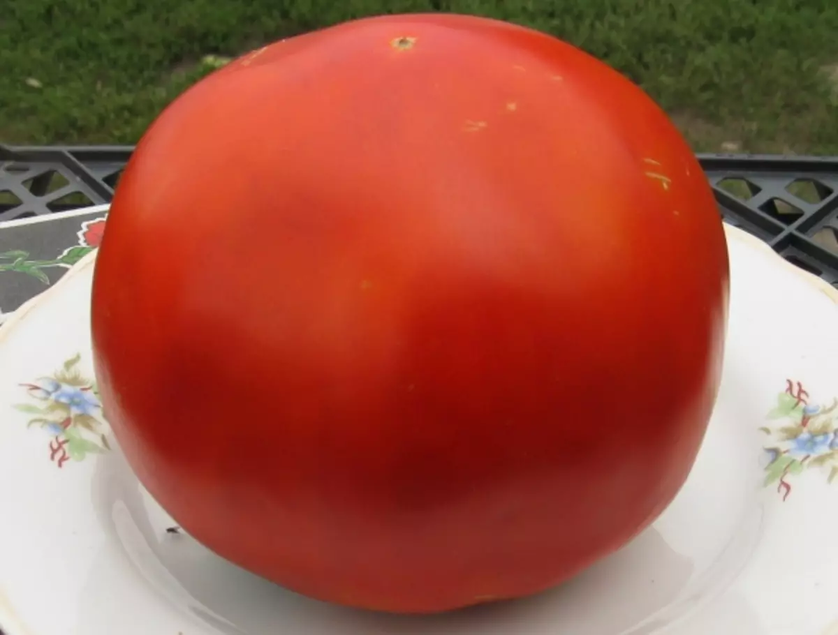 Rouge géant de la tomate sur la plaque