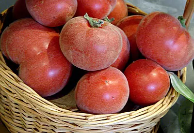 томат персик