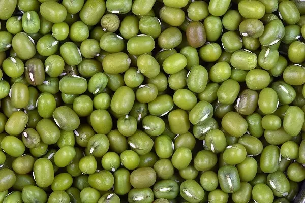 Rohelised oad