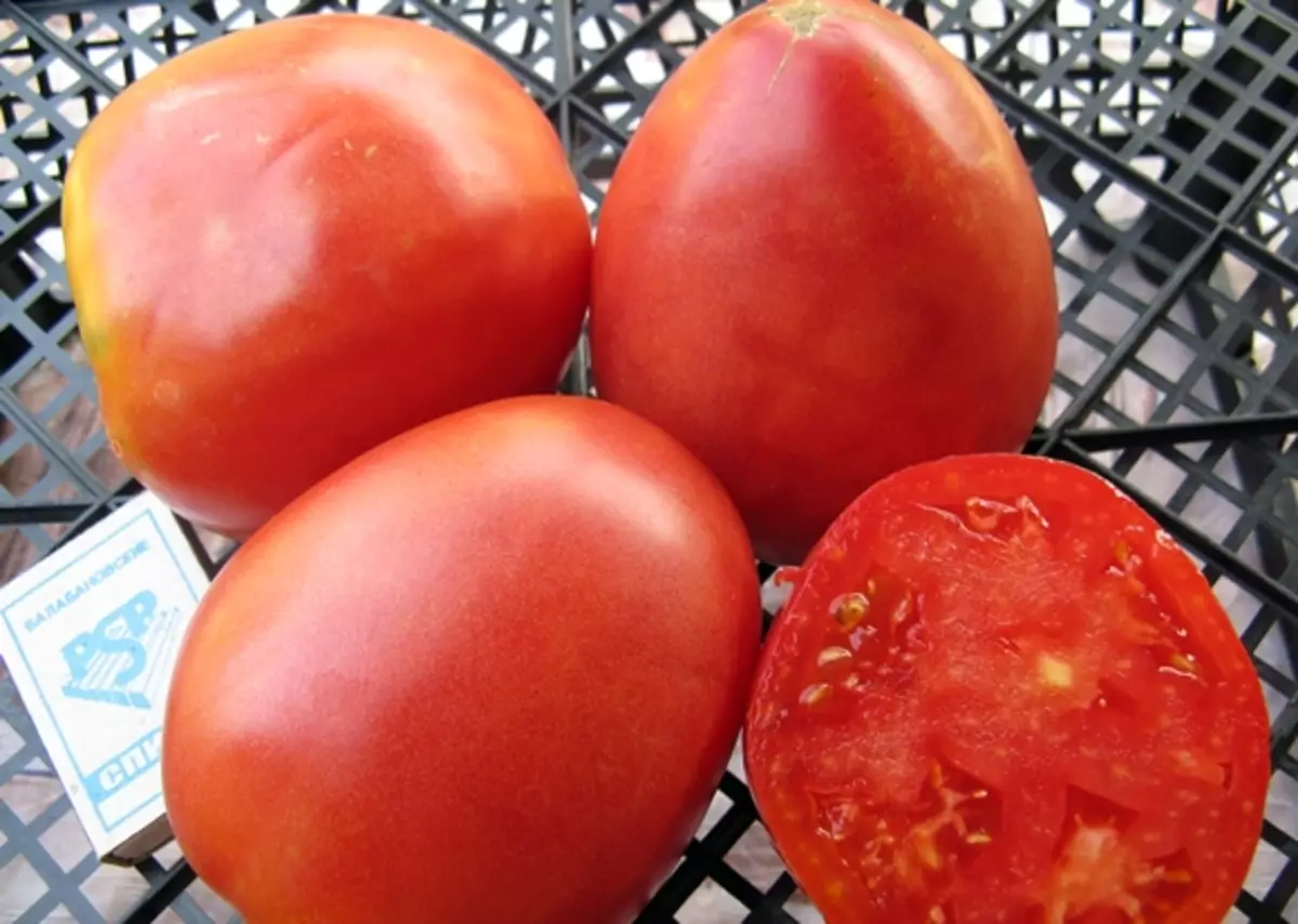 مظهر الطماطم Nastya.