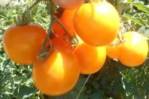 Descrición da variedade de tomate Nizhny Novgorod Kudablik, as súas características