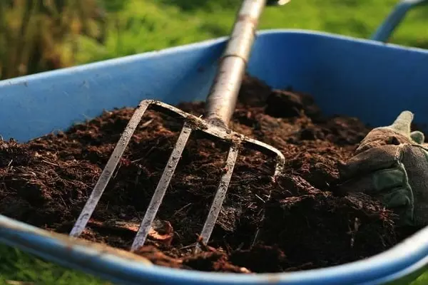 Inacessível para plantas