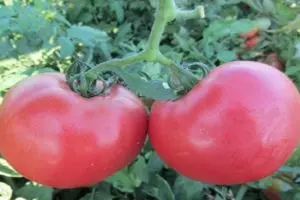 Descrição da variedade de rosalis de tomate, suas características e cultivo