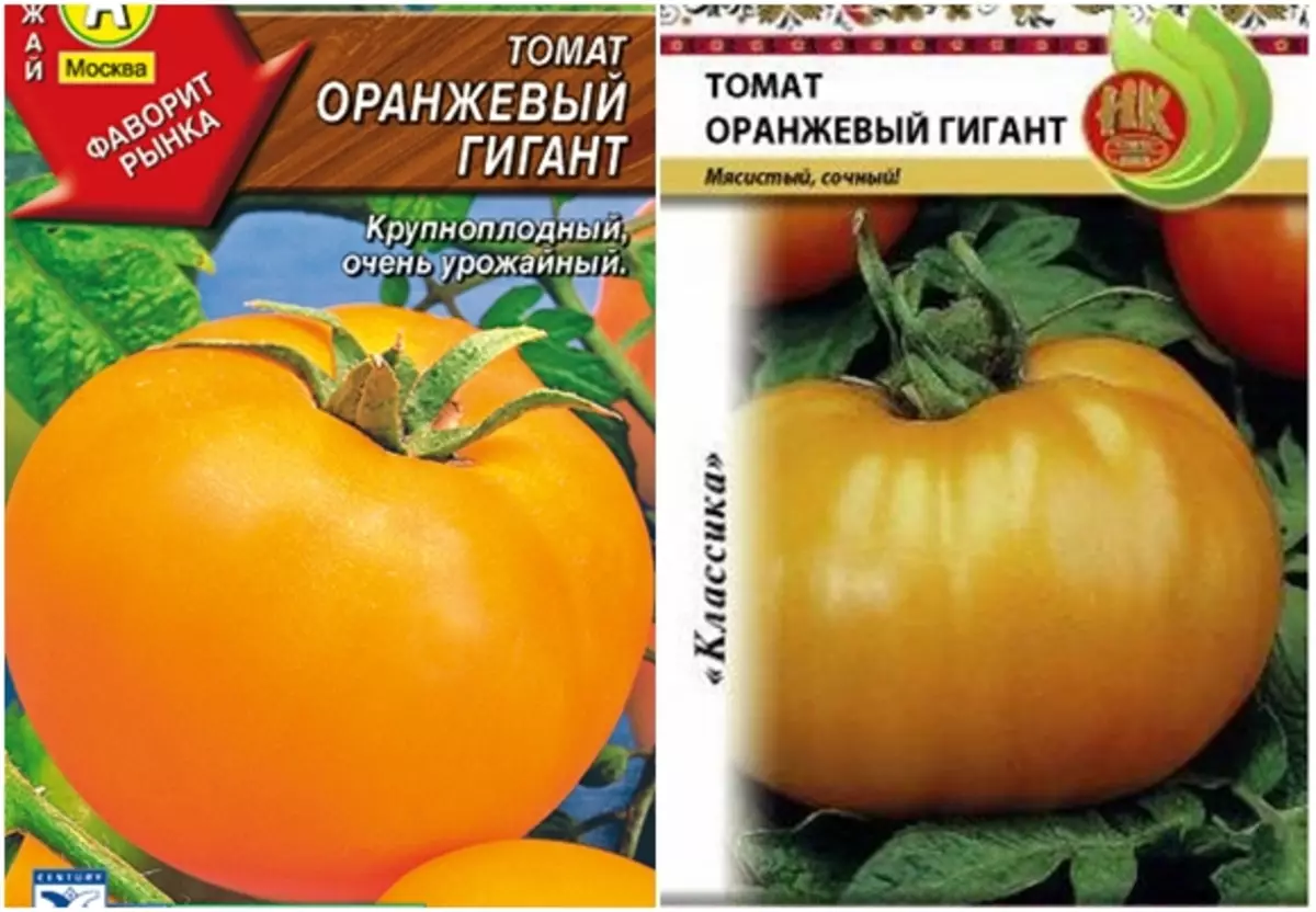 Tomates sieden oranje gigant