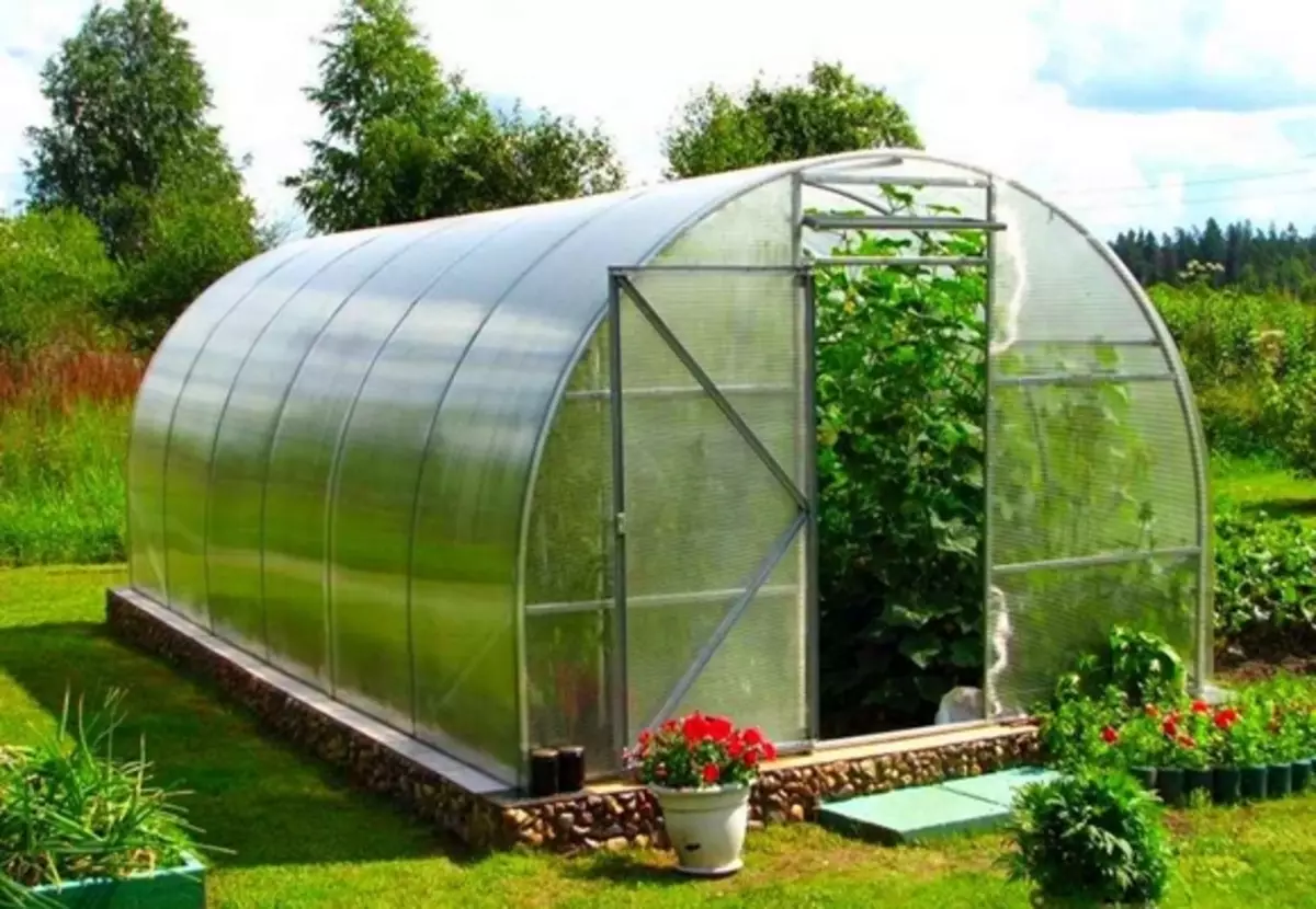 Greenhouse yn plantaardige tún
