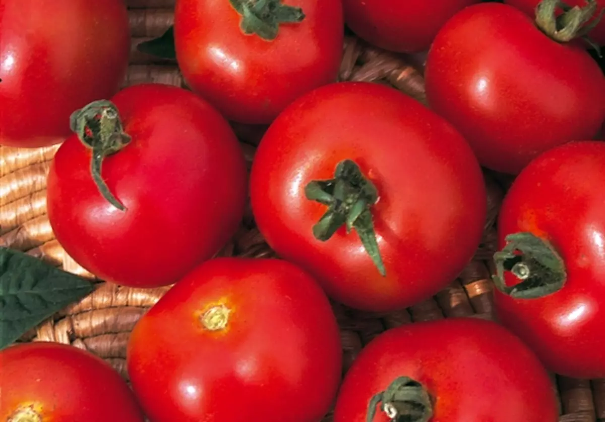 Aussehen Tomaten Manimiker.