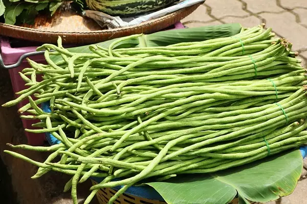 ವಿಧಗಳು ಅನಾನುಕೂಲಗಳು