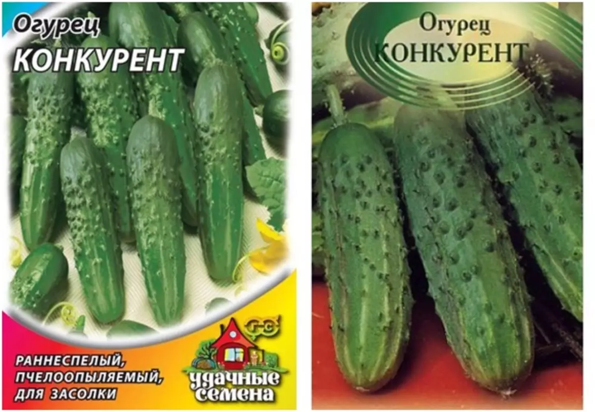 I-Cucumber Imbewu Yokuncintisana