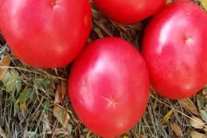 Beskriuwing fan tomaat rosmary en har skaaimerken