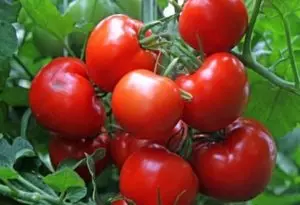 Beschreiwung an Charakteristike vun Tomaten Schnéimännchen F1