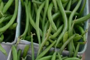 Paglalarawan ng pinakamahusay na varieties ng asparagus beans, kapaki-pakinabang na mga katangian at pinsala
