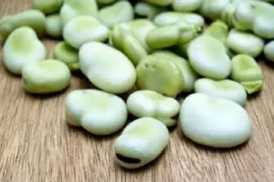 Popis limy fazole, rysy pěstování a péče
