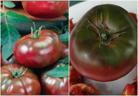 Tomate Black Rashen.