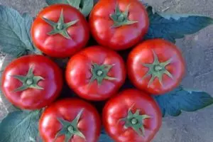 Beschreiwung vun der Tomate Galaagänner an seng Charakteristiken